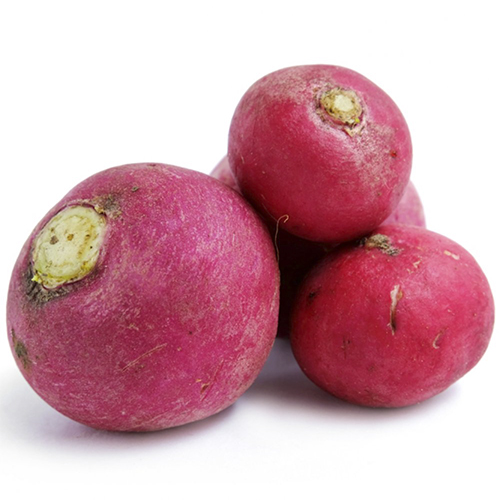 RÁBANO ROJO por KG – IANDA – Distribuidora de Frutas y Verduras